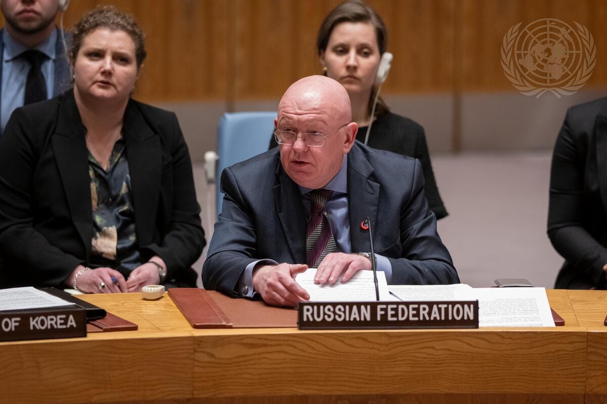 UN Security Council Discusses Red Sea and Gaza at Russia’s Insistence